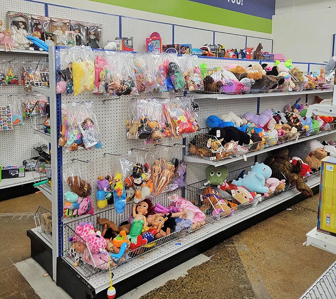 The toy section: a colorful time machine where childhood memories and future playtimes coexist in plastic harmony.