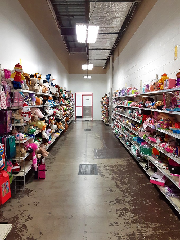 A stuffed animal sanctuary where childhood companions await their next loving home and adventure.