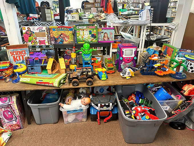 Childhood memories line these shelves and bins. Science kits and colorful toys promise screen-free entertainment for a new generation.