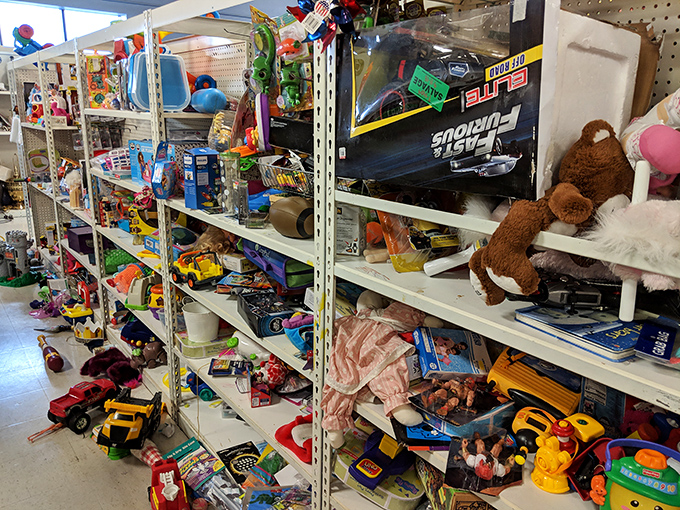 Toy shelves bursting with childhood memories and enough stuffed animals to populate a small zoo.