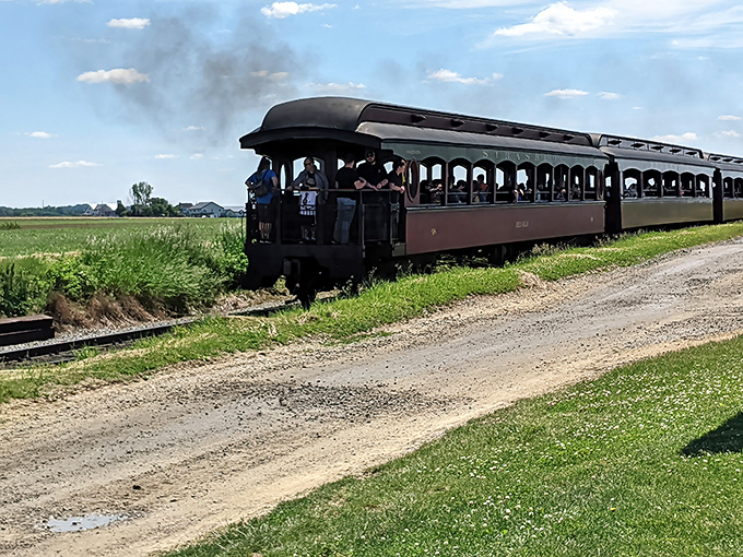 All aboard the farm express! Where the journey is slow enough to appreciate the scenery but fast enough to create a perfect breeze.
