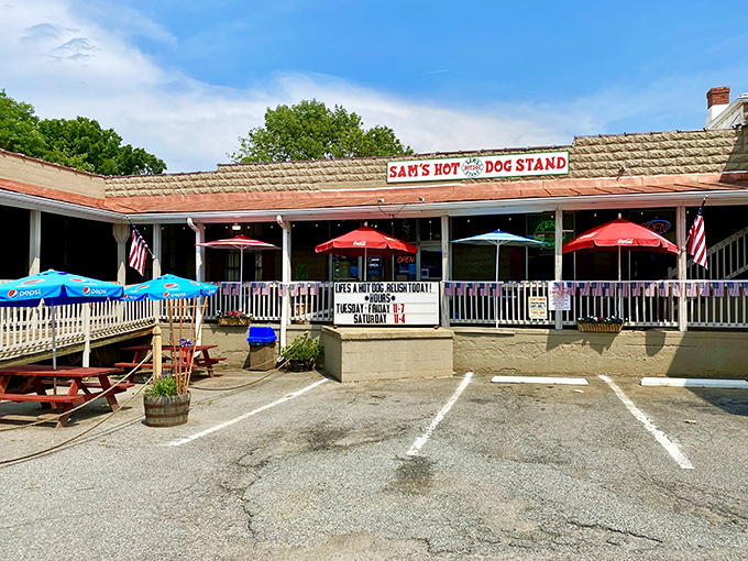 Casual dining spots invite you in with promises of satisfying food and the kind of service that remembers your order.