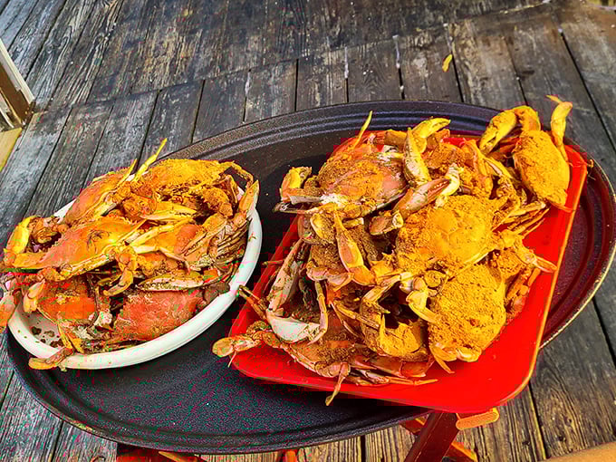 The main event! Steamed crabs dusted with Old Bay spice&mdash;nature's puzzle boxes filled with sweet meat that rewards those patient enough to crack the code.