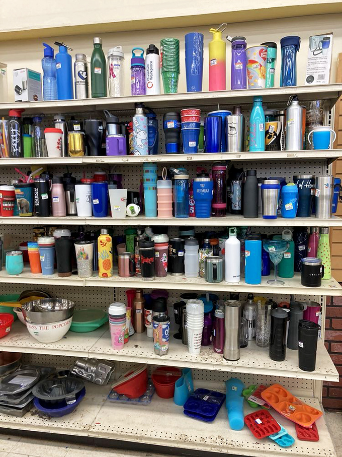 The tumbler section: where your morning coffee vessel and personality statement become one affordable purchase.