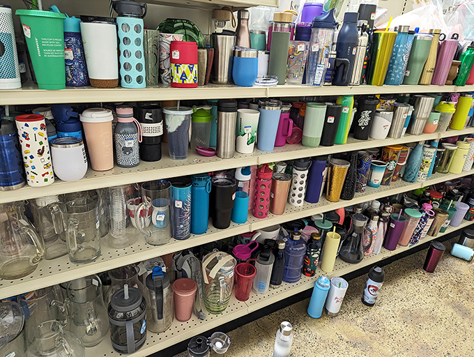 The travel mug collection rivals any corporate coffee chain—a rainbow of vessels ready to keep your morning brew hot during Seattle's famous drizzle.