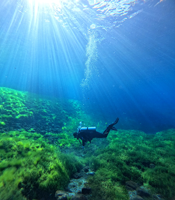 Underwater visibility so clear you'll think someone installed invisible glass at the bottom.