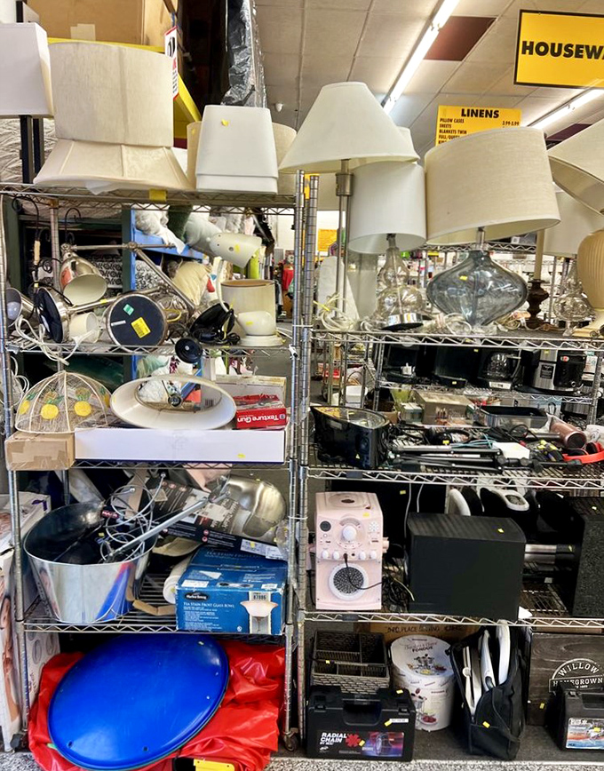 Lamps and kitchen gadgets coexisting peacefully on shelves, creating the kind of organized chaos that somehow makes perfect shopping sense.