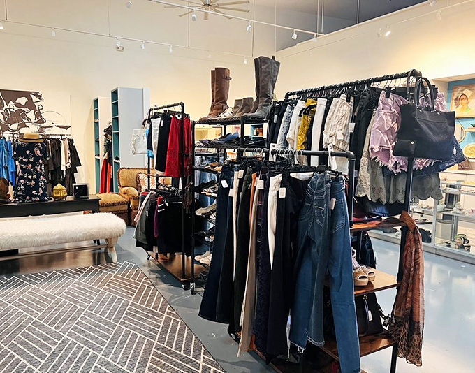 From vintage cameras to forgotten treasures, this corner looks like your grandparents' attic won the lottery.