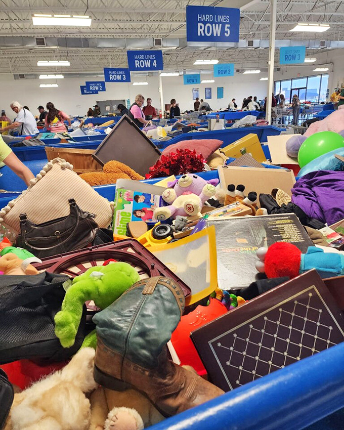 A close-up treasure trove reveals the delightful randomness &ndash; plush frogs nestled against vintage frames, handbags cozying up to forgotten toys.