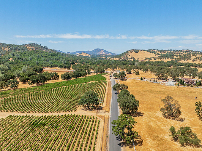 Vineyards stretch toward distant hills, proving that Gold Country soil grows more than dreams &ndash; it produces world-class wines too.