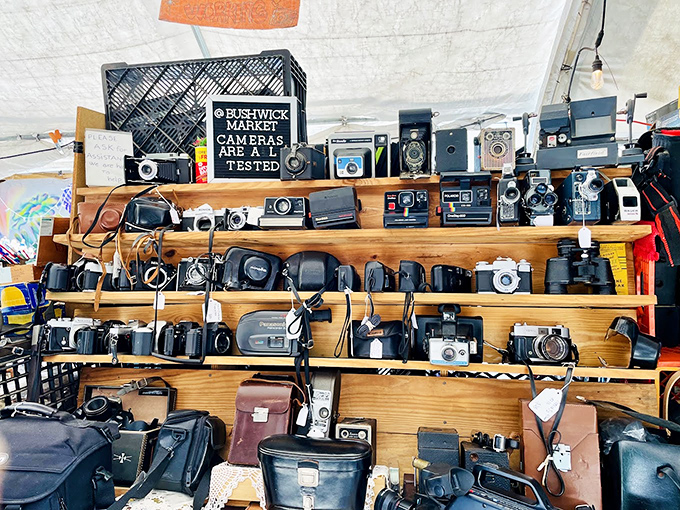 "Cameras are pre-tested" promises the sign, as decades of photographic history await new creative eyes and adventures.