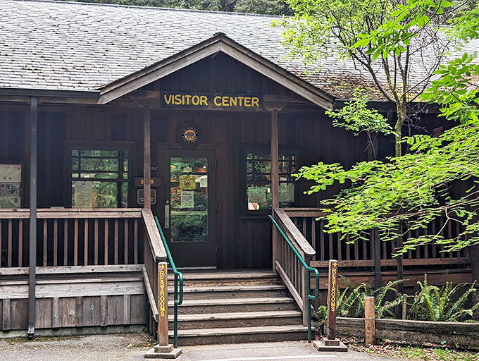 The rustic visitor center blends perfectly with its surroundings. Like the forest's cozy living room, it invites you to learn more about your towering hosts.