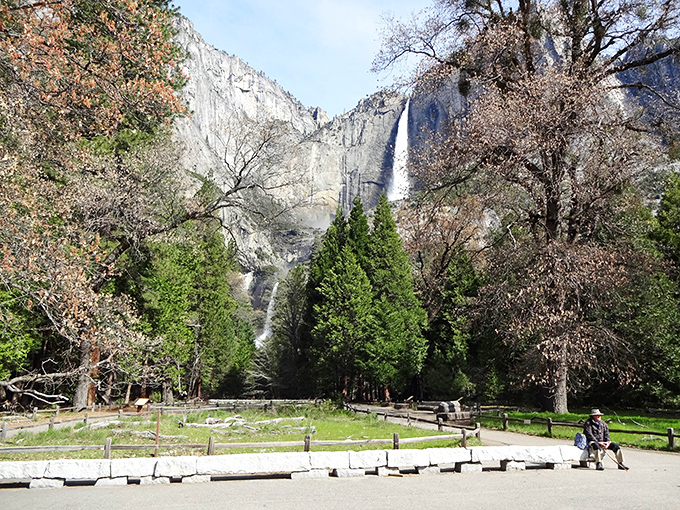 Framed by spring foliage, Yosemite Falls stands tall in the distance&mdash;like that impressive friend who doesn't need to show off.