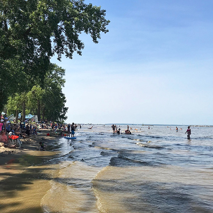 East Harbor State Park's beach offers a perfect family playground where Lake Erie's waves provide nature's own version of a water park.