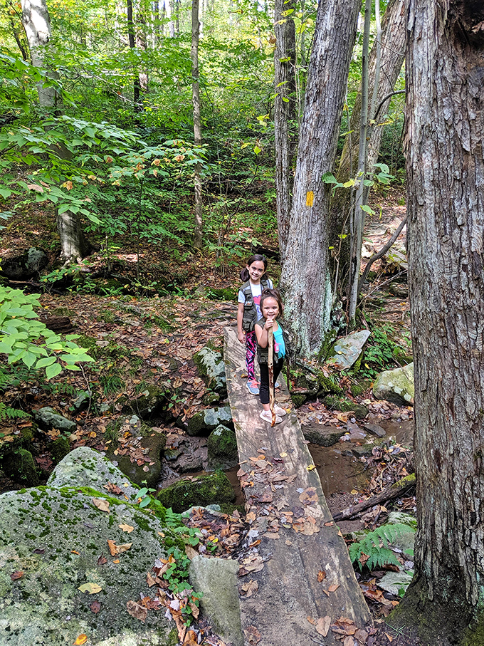 Little explorers discovering big adventures on a woodland bridge &ndash; childhood memories being crafted one careful step at a time.