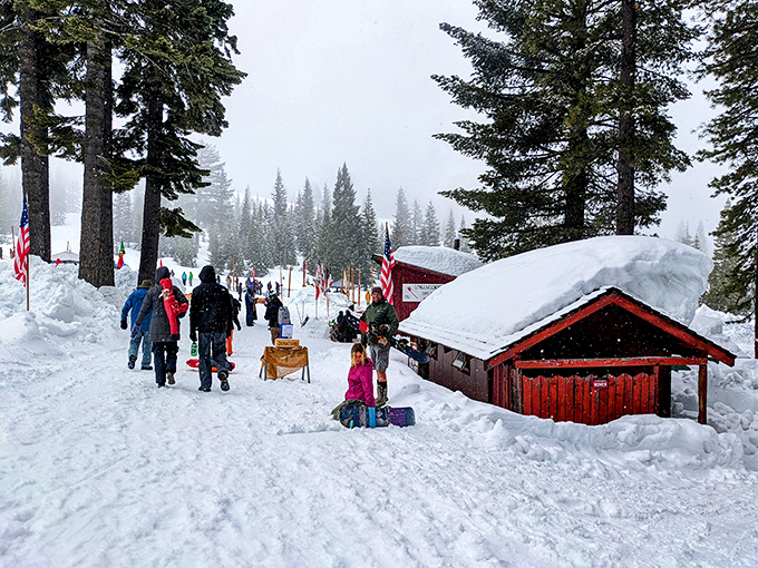 Winter wonderland without the theme park prices. Just pure, unpretentious snow joy that brings out the kid in everyone.
