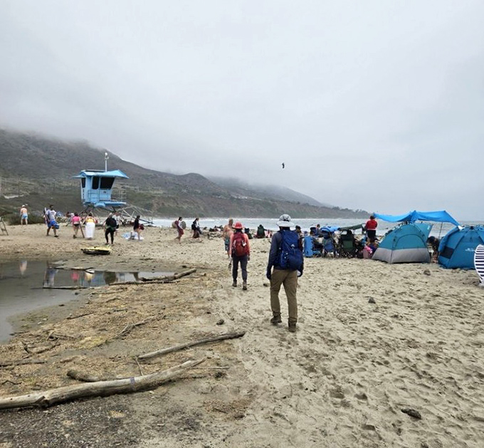 Foggy days bring their own magic to Leo Carrillo. When the marine layer rolls in, the beach transforms into a mystical coastal hideaway.