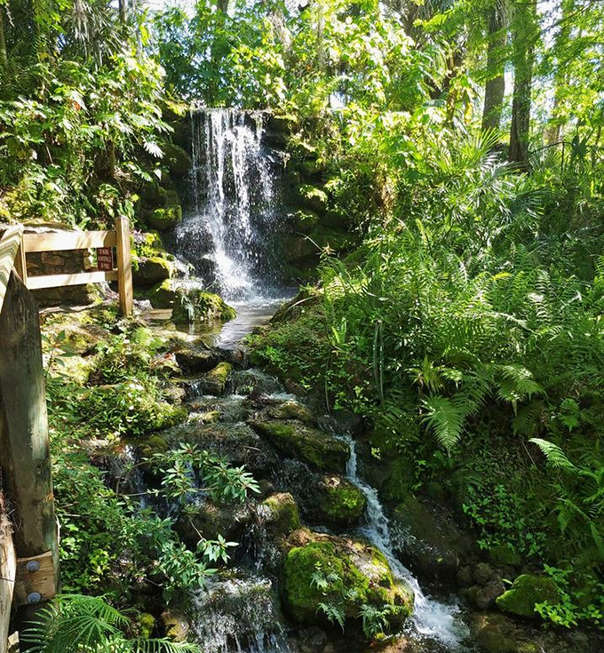 Water music composed by Mother Nature herself. This hidden cascade offers a soundtrack of gentle splashes while ferns applaud from the sidelines.
