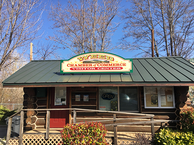 The Chamber of Commerce cabin could double as a movie set. Log construction that reminds you people once built things to last centuries, not quarterly earnings.