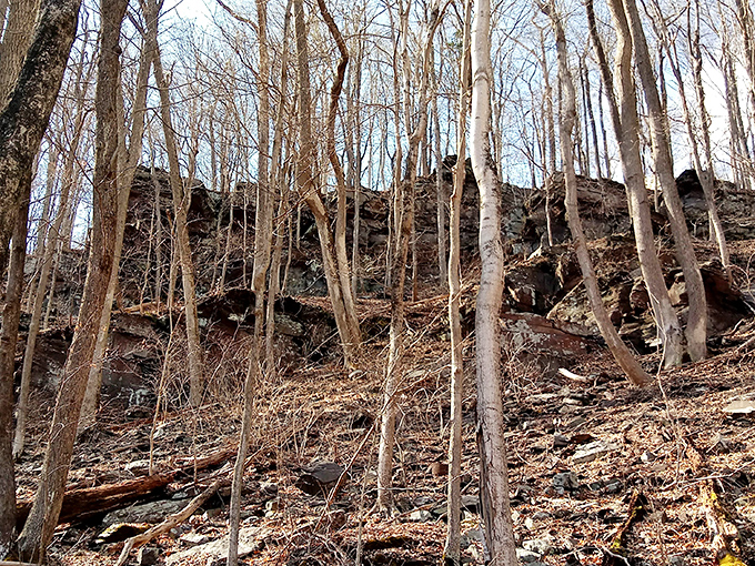 Winter strips the forest bare, revealing the sculptural beauty of the park's geology. Nature's architecture exposed in its most honest form.