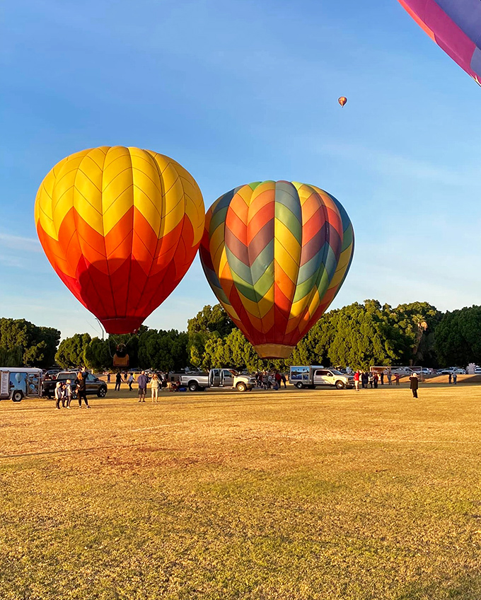 The Yuma Balloon Festival adds splashes of color to already-perfect blue skies. Sunrise has never looked better than from a wicker basket.