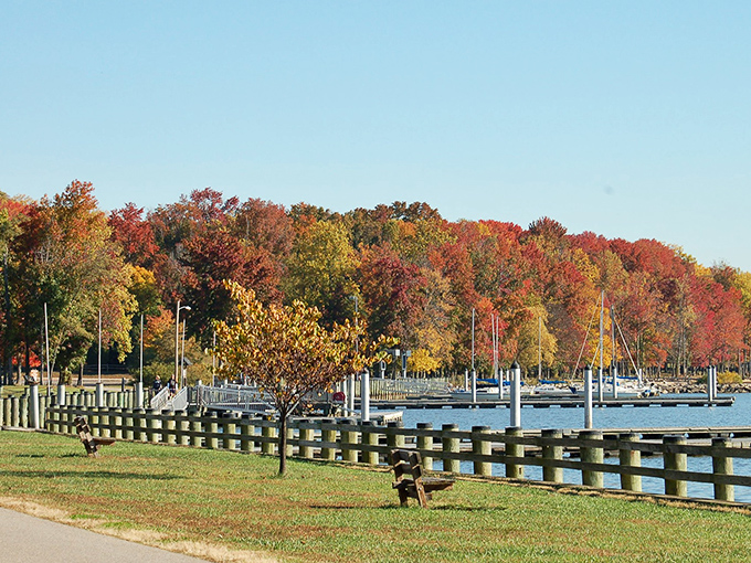 Fall fashion week at Leesylvania's marina. The trees dressed in their seasonal best, showing off colors that would make a crayon box jealous.