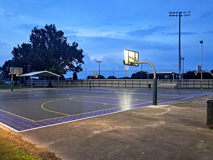 The community basketball court glows at dusk, offering free entertainment and exercise. Where retirement-age jump shots might be slower, but the trash talk remains championship quality.