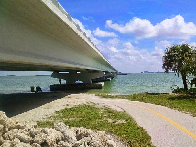 Beneath the causeway's concrete spans lies a hidden world where fish dart between shadows and kayakers discover secret passages away from the road above.