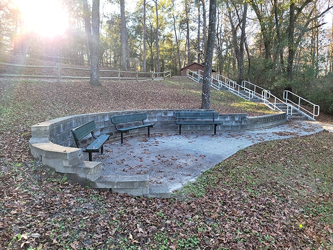 A thoughtfully designed seating area perfect for contemplating life's big questions or simply watching squirrels plot their next move.