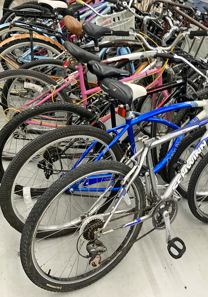 Bicycle heaven for budget-conscious riders &ndash; from pink cruisers to blue mountain bikes, your next two-wheeled adventure awaits.