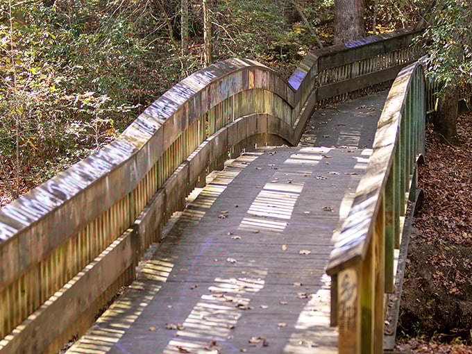 The boardwalk trail meanders through the woods like a wooden ribbon, guiding visitors to discover hidden vantage points of this historical treasure.