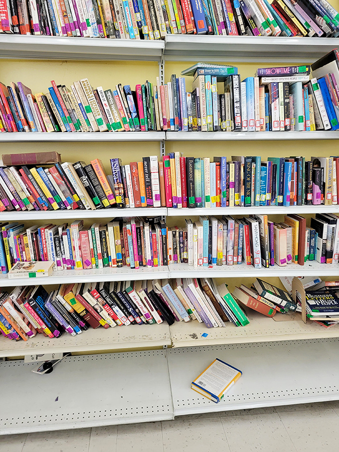 Books stacked with colorful spines&mdash;literary treasures at fingertip prices. Someone's abandoned self-help journey becomes your next beach read.