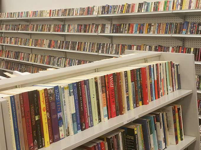 The book section—where literary treasures hide between forgotten diet guides and someone's college textbooks from 2003.