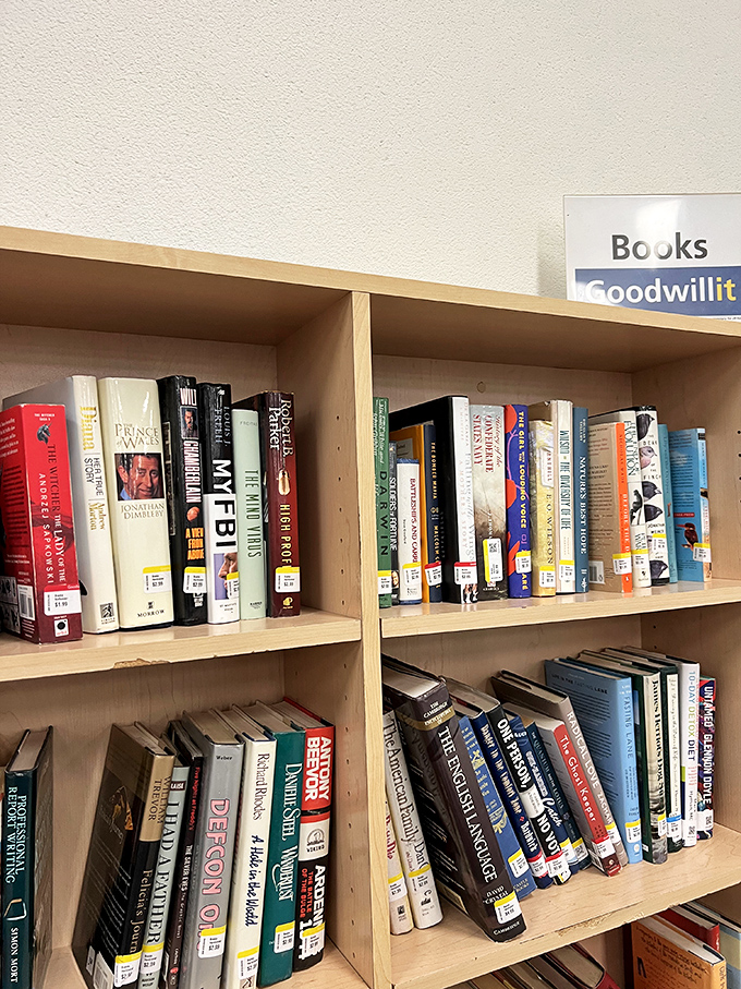 These bookshelves hold forgotten bestsellers and hidden gems. Literary treasures for less than a fancy coffee.