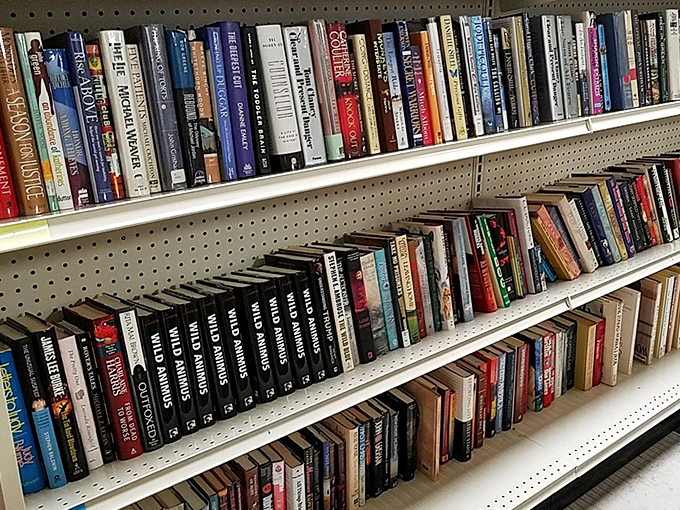 The book section rivals small libraries, minus the late fees. From bestsellers to obscure titles, it's a literary buffet at paperback prices.