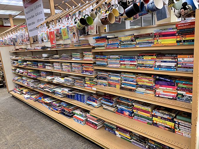 Literary paradise where dog-eared paperbacks and pristine hardcovers create a library where every book costs less than shipping from an online retailer.