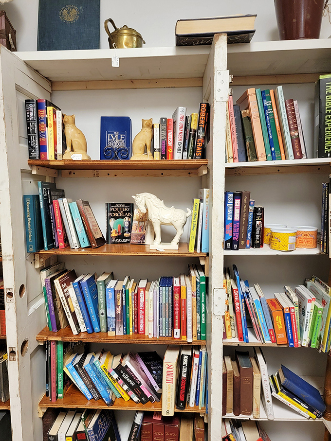 Books stacked with care, guarded by ceramic cats. Between these pages lie adventures, recipes, and knowledge from before Google knew everything.