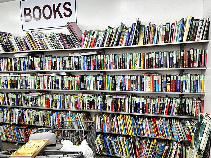 The book section rivals small-town libraries, offering literary journeys from fifty cents. No late fees, just permanent ownership.