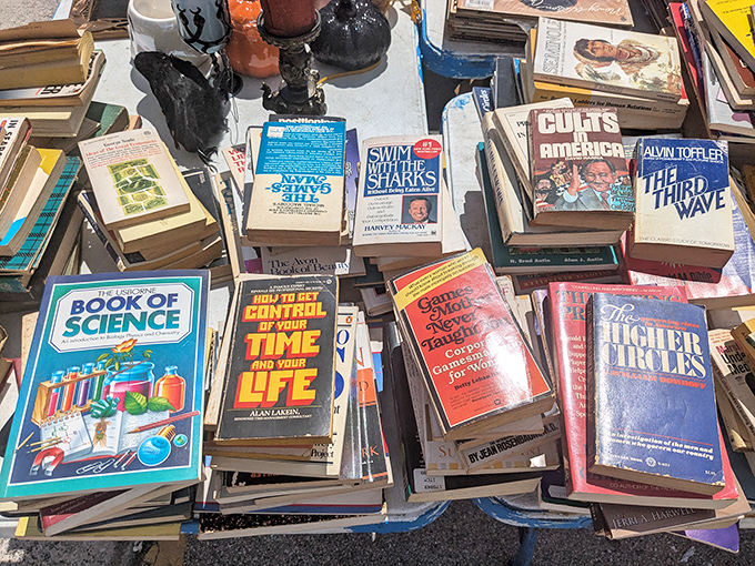 Literary treasures await the patient browser – from vintage paperbacks to self-help classics promising to organize your life (but not your overflowing bookshelves).