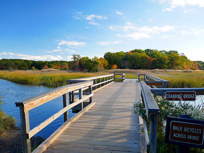 The aptly named "Crabbing Bridge" offers both passage and purpose, where patience and a piece of string might just earn you dinner.