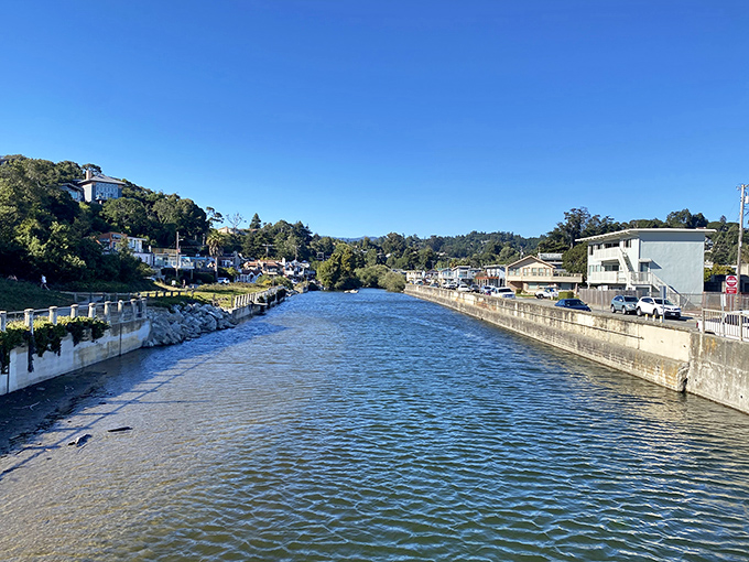 Aptos Creek flows peacefully to meet the Pacific, creating a serene waterway that reflects the surrounding coastal community.