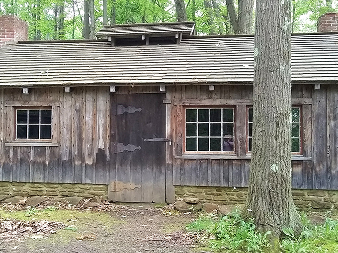 The rustic cabin nearby completes the scene, looking exactly like where a fairy tale character would live if they paid property taxes.
