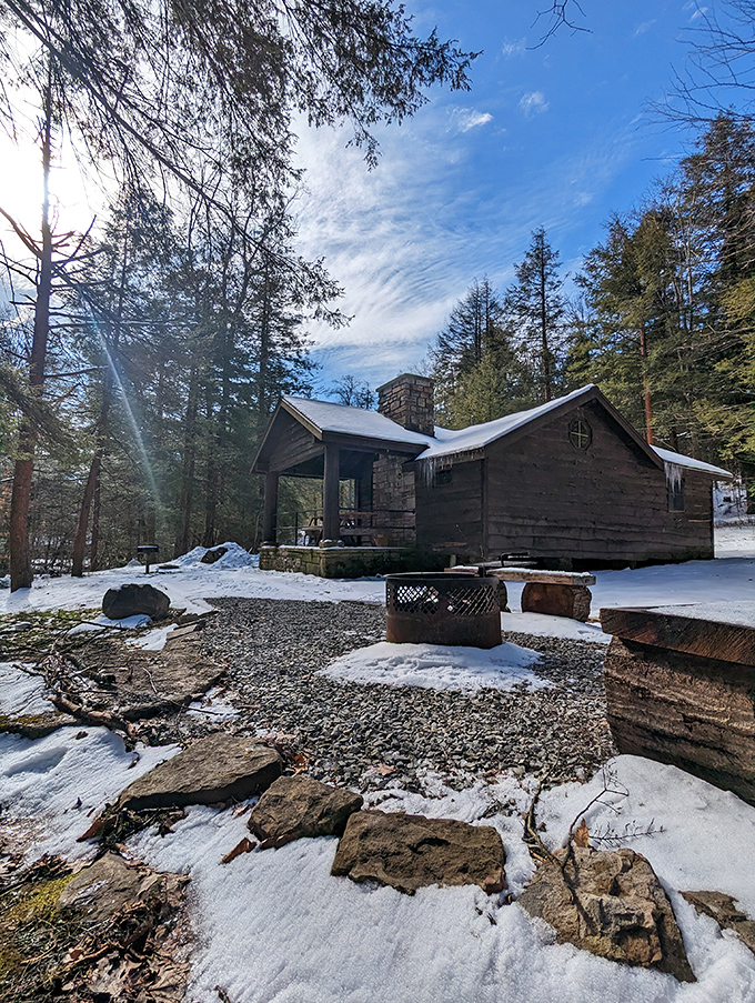 These cabins offer the perfect compromise: sleeping in nature without actually sleeping on nature. Revolutionary thinking, really.