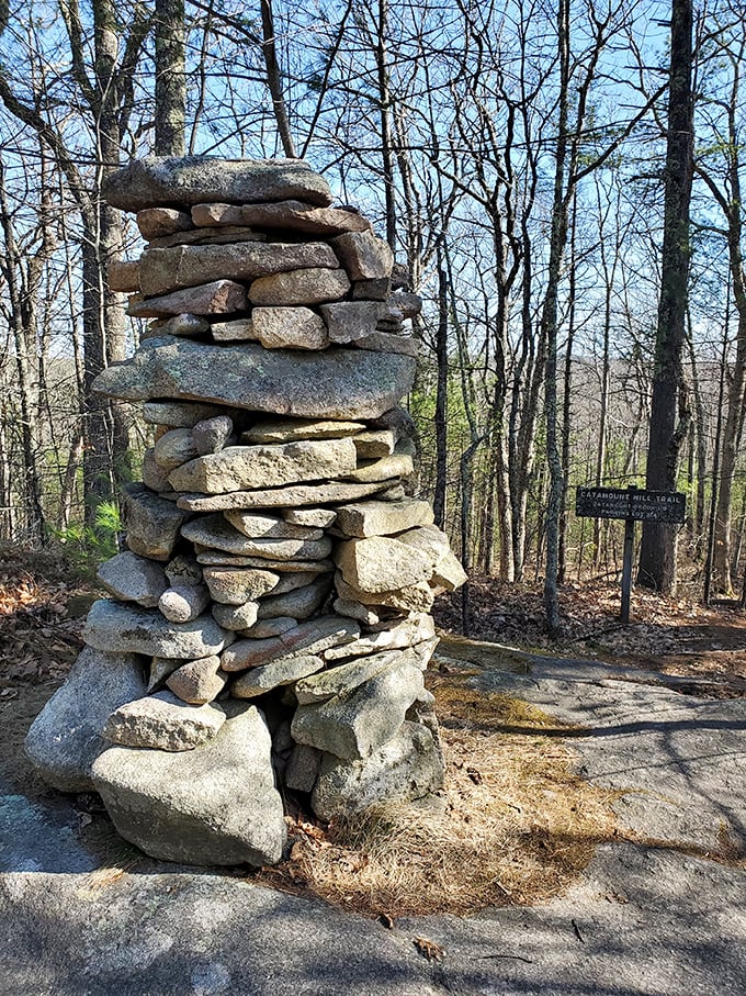 Someone spent hours stacking these rocks into a trail cairn, proving that even in the wilderness, humans can't resist leaving their artistic mark.