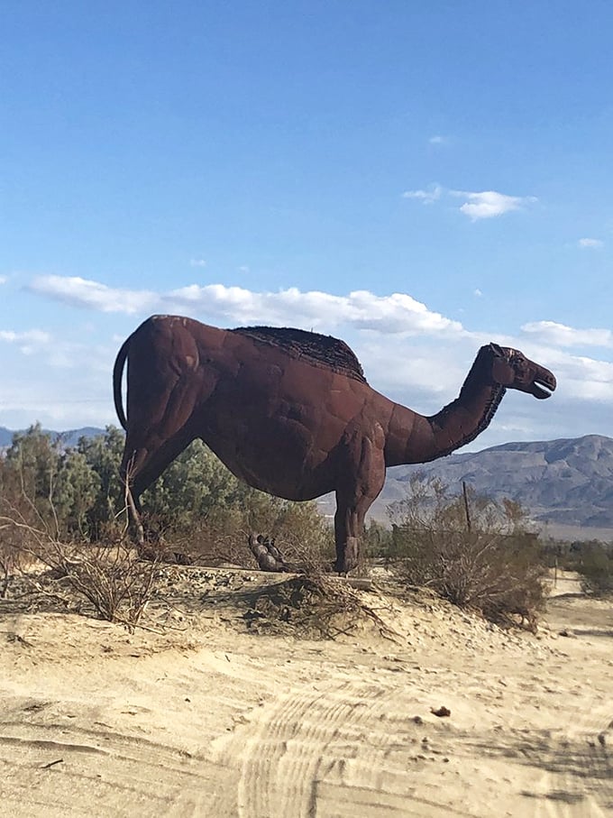 The prehistoric camel stands proudly against the blue sky, a rust-colored reminder that these creatures once roamed this very desert.