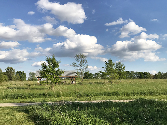 Where prairie meets sky, this simple shelter stands as a reminder that sometimes the best views come with the fewest distractions.