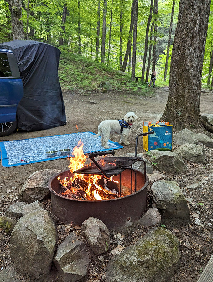 Even four-legged friends get the VIP treatment at these waterfront campsites complete with crackling fires. 