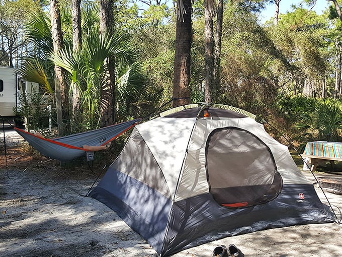 Camping as it should be&mdash;under whispering pines with a hammock for good measure. This site offers five-billion-star accommodations.
