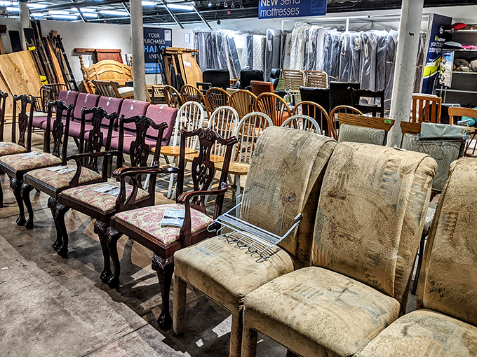 The chair convention has arrived! From formal dining to casual lounging, these seats have stories to tell—if only their cushions could talk.