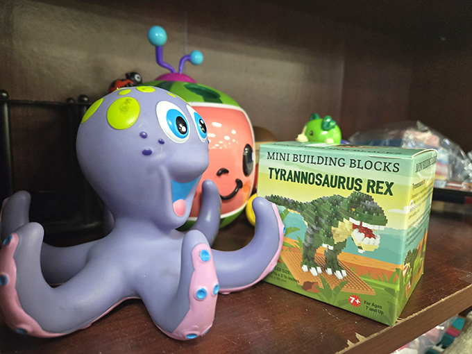 This colorful octopus toy and dinosaur building kit represent the thrift store circle of life&mdash;gently loved, temporarily abandoned, now awaiting their next adventure.